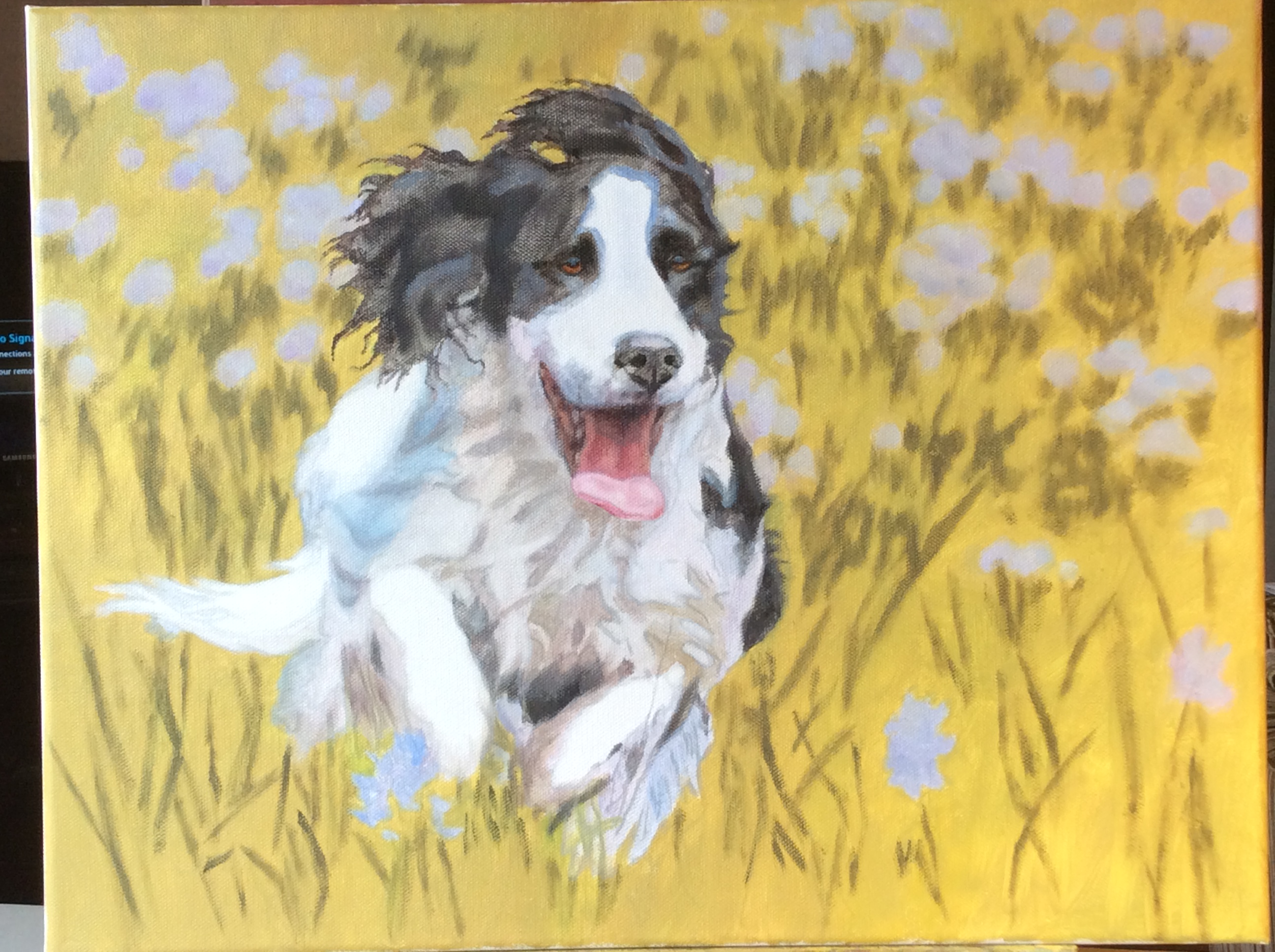 Starting a new Springer portrait – Fetcher Sketcher